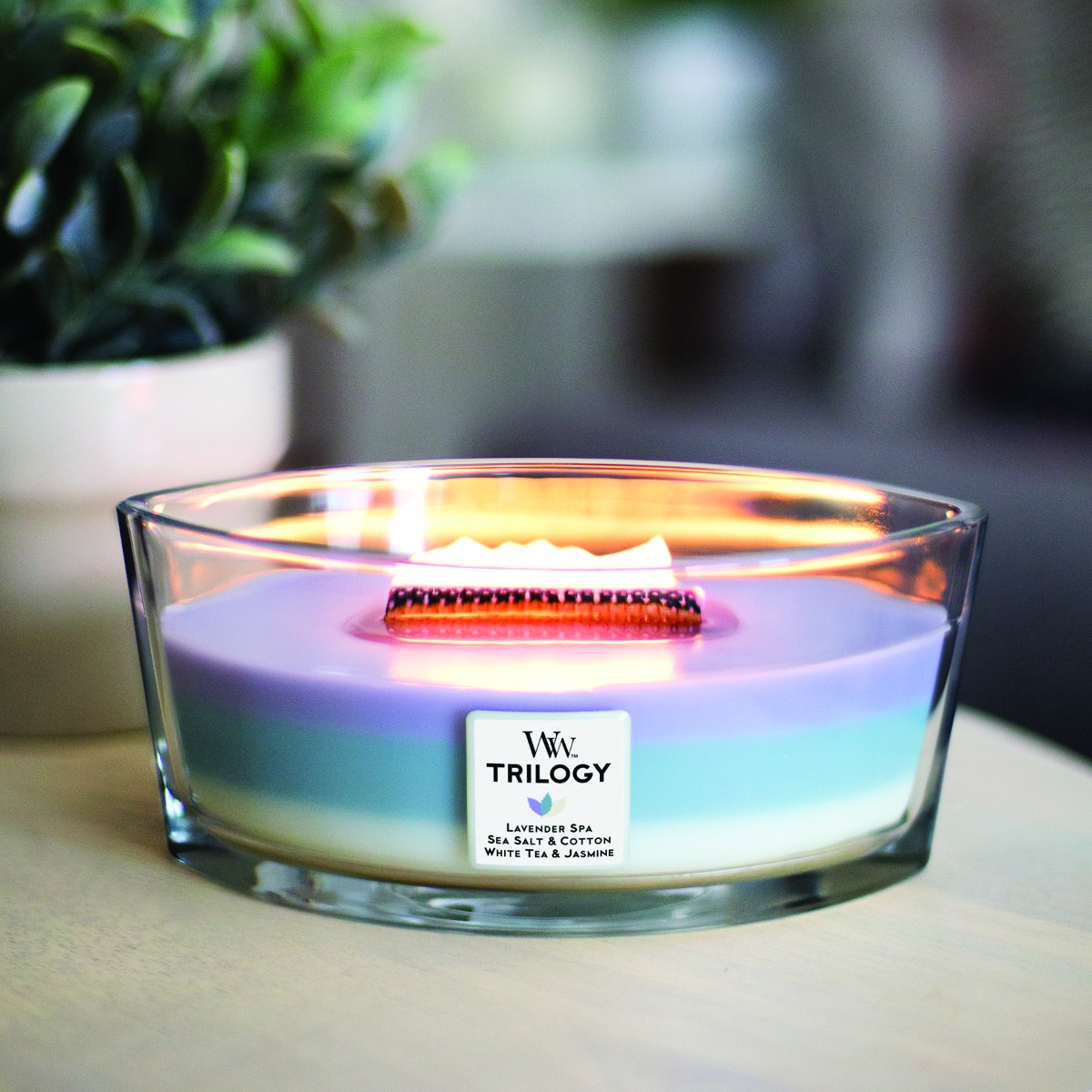 Woodwick trilogy candles store