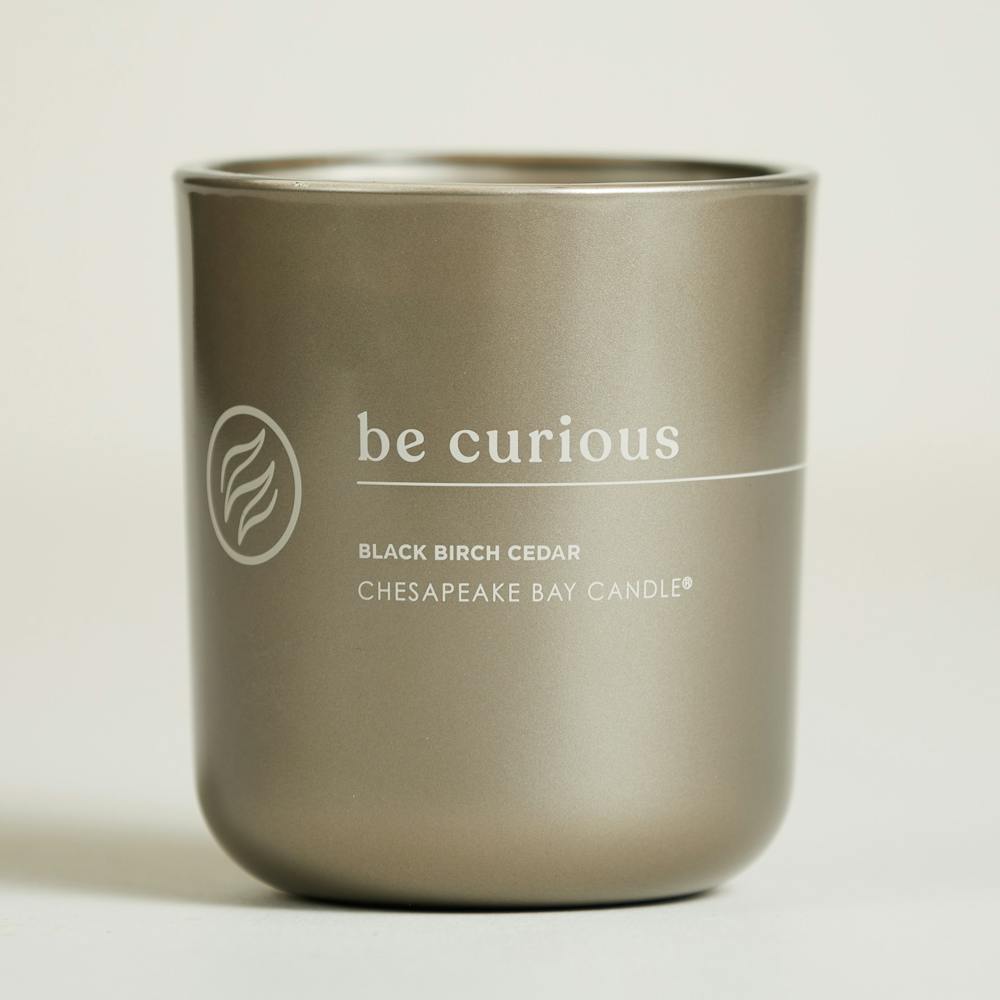 Be Curious: Possibilities are endless (Black Birch Cedar) Chesapeake ...