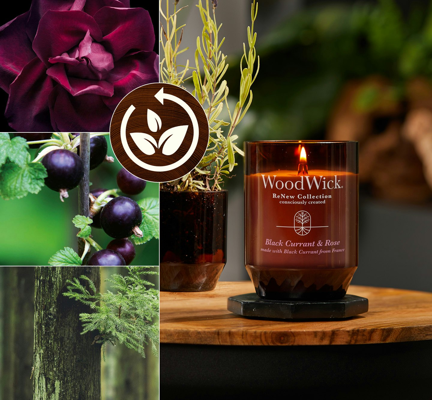 WoodWick Candle | Candles, Air Fresheners & Home Fragrance