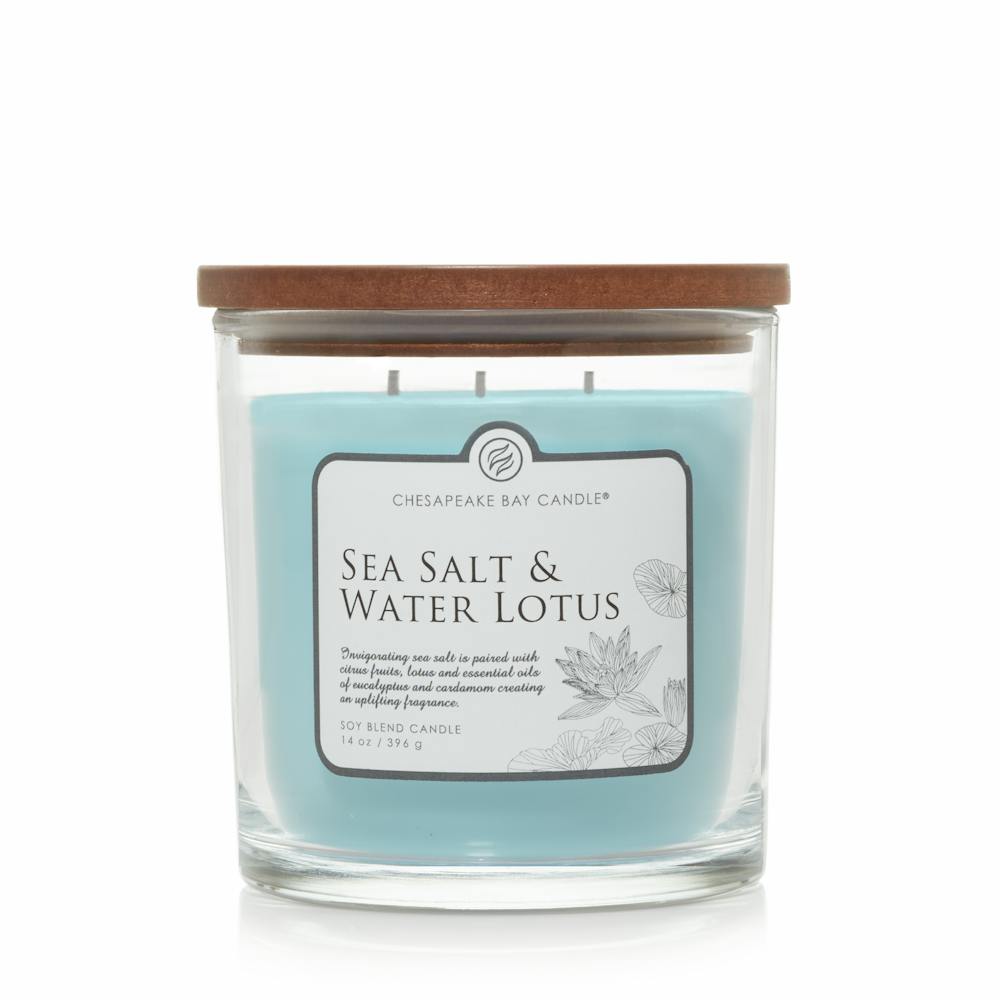 Sea Salt & Water Lotus Chesapeake Bay Candle® Botany Collection 3-Wick ...